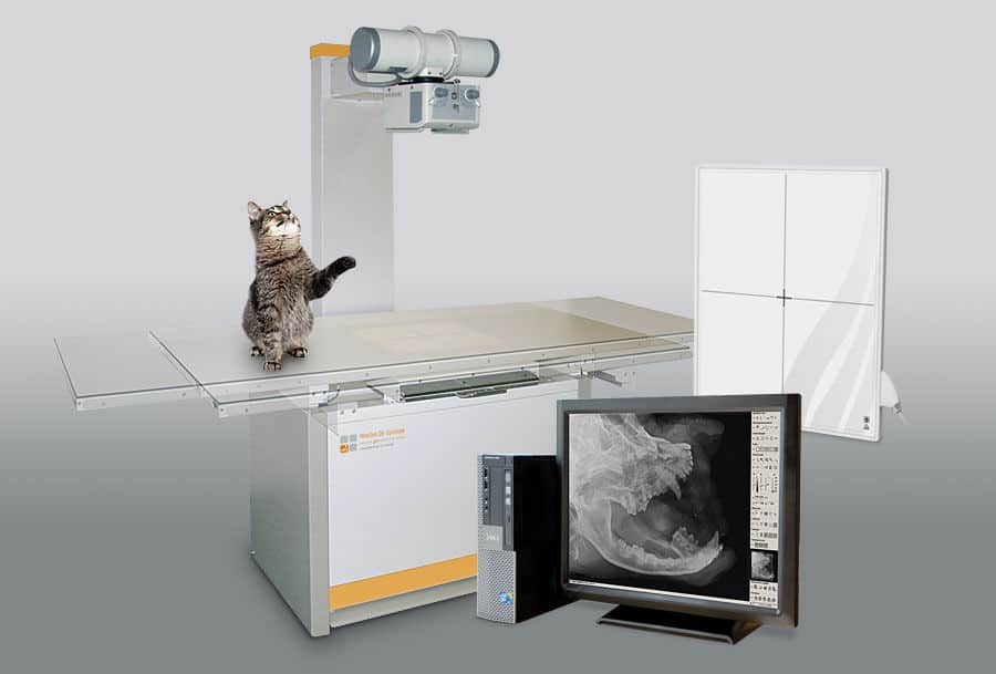 Medical Imaging Equipment for Veterinarians - Amber USA Blog, Radiology ...